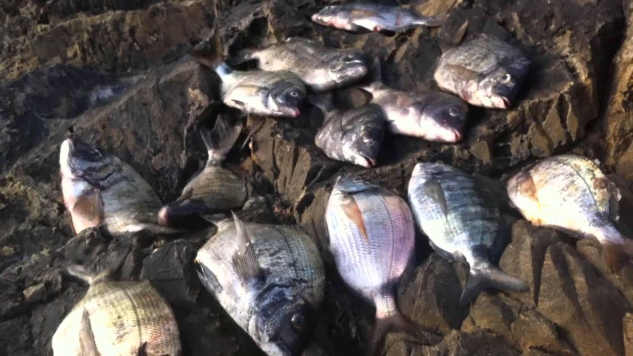 testando engados 2ª parte - YouTube