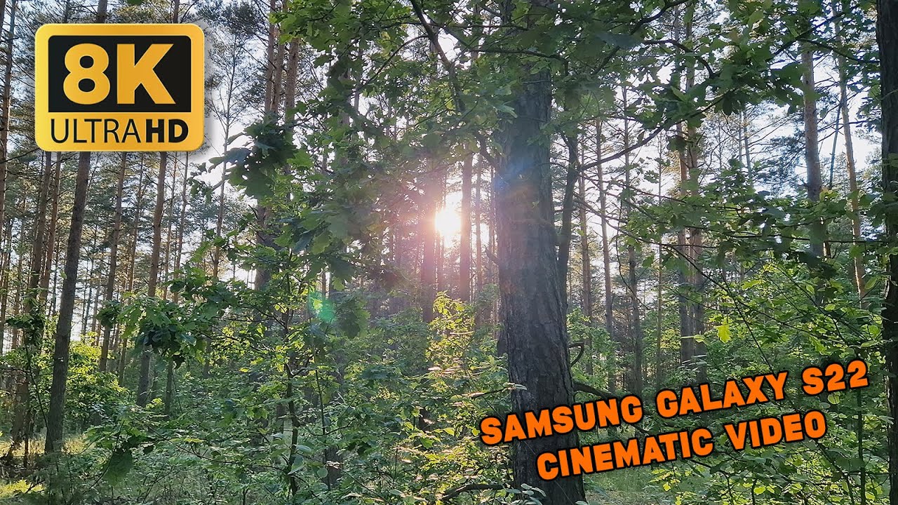 Samsung Galaxy S22 Camera Test - 8K 24FPS Cinematic Video - YouTube
