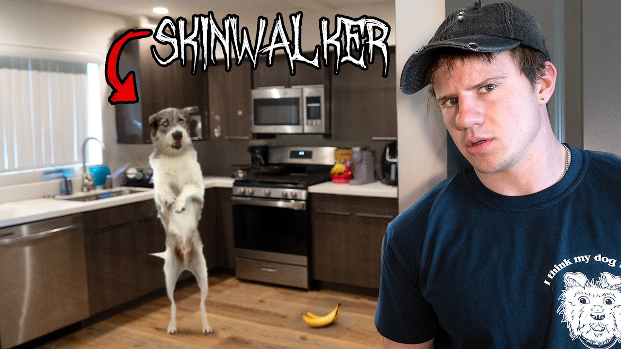 Your Dog Might be a Skinwalker... - YouTube