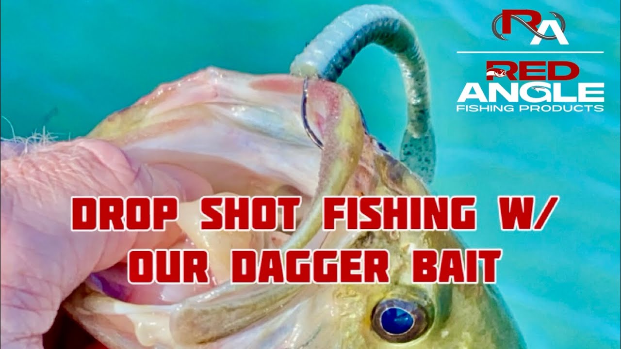 Drop Shot Fishing in Canal - Dagger Fishing Bait - YouTube