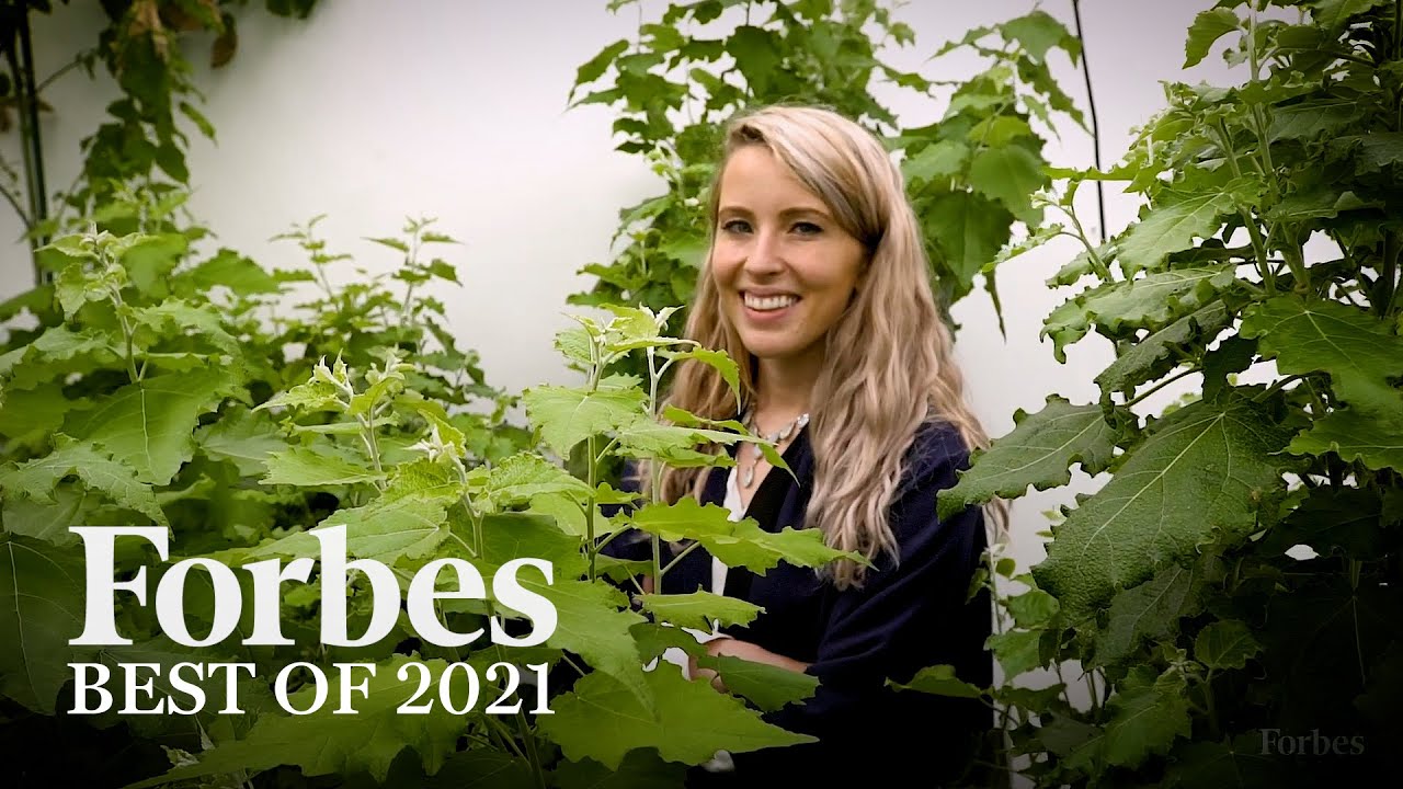 Best Of Forbes 2021: Innovation, Science & Technology | Forbes - YouTube