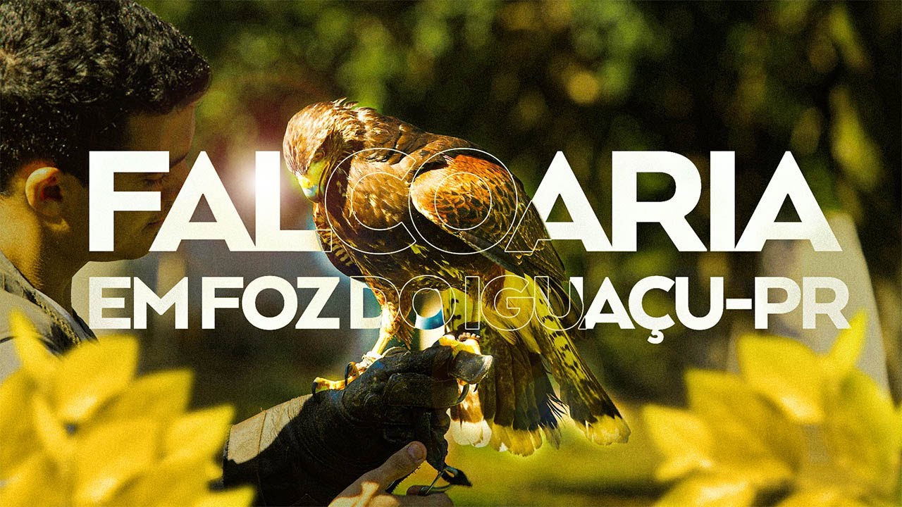 Conheça o Centro de Falcoaria em Foz do Iguaçu-PR - YouTube