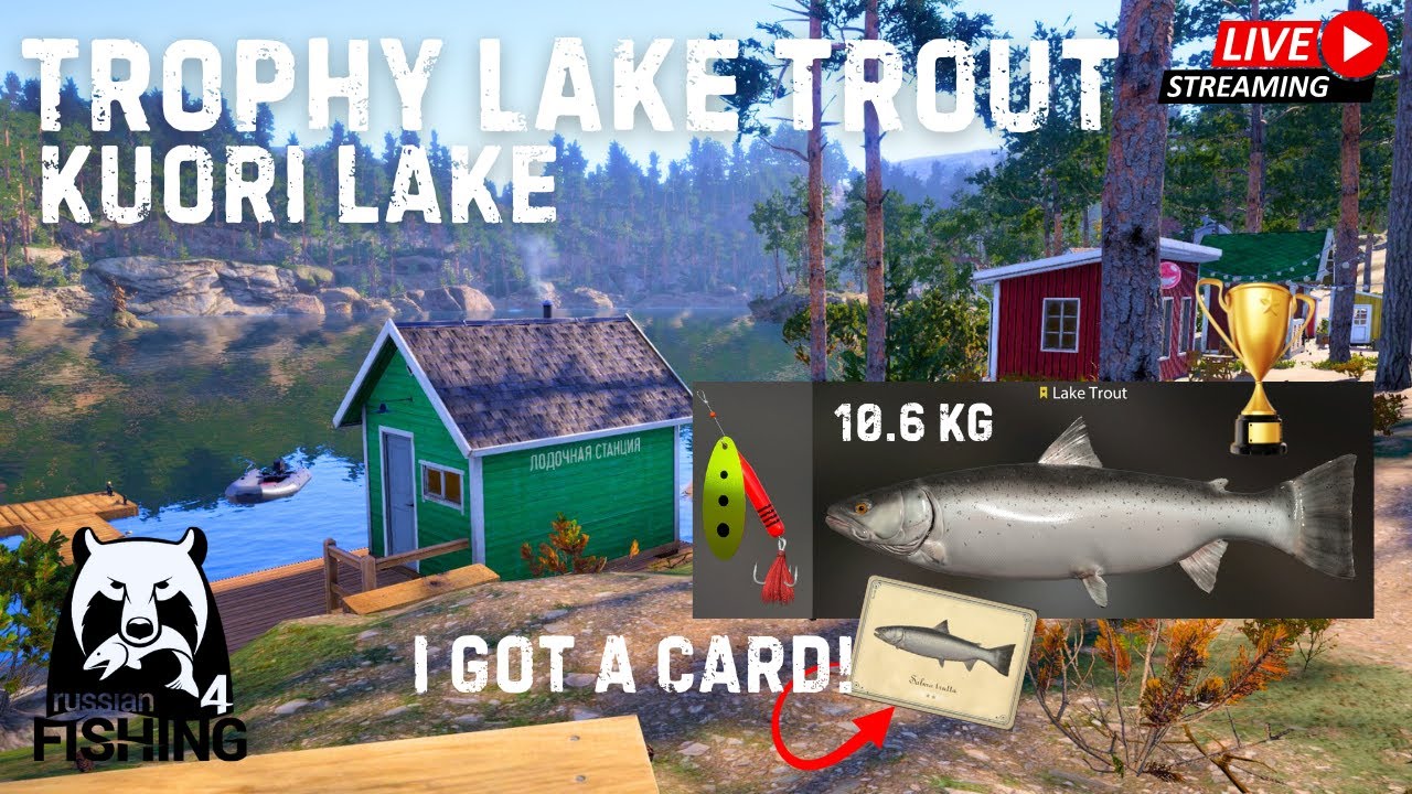 TROPHY LAKE TROUT - KUORI LAKE - Episode 5 - YouTube