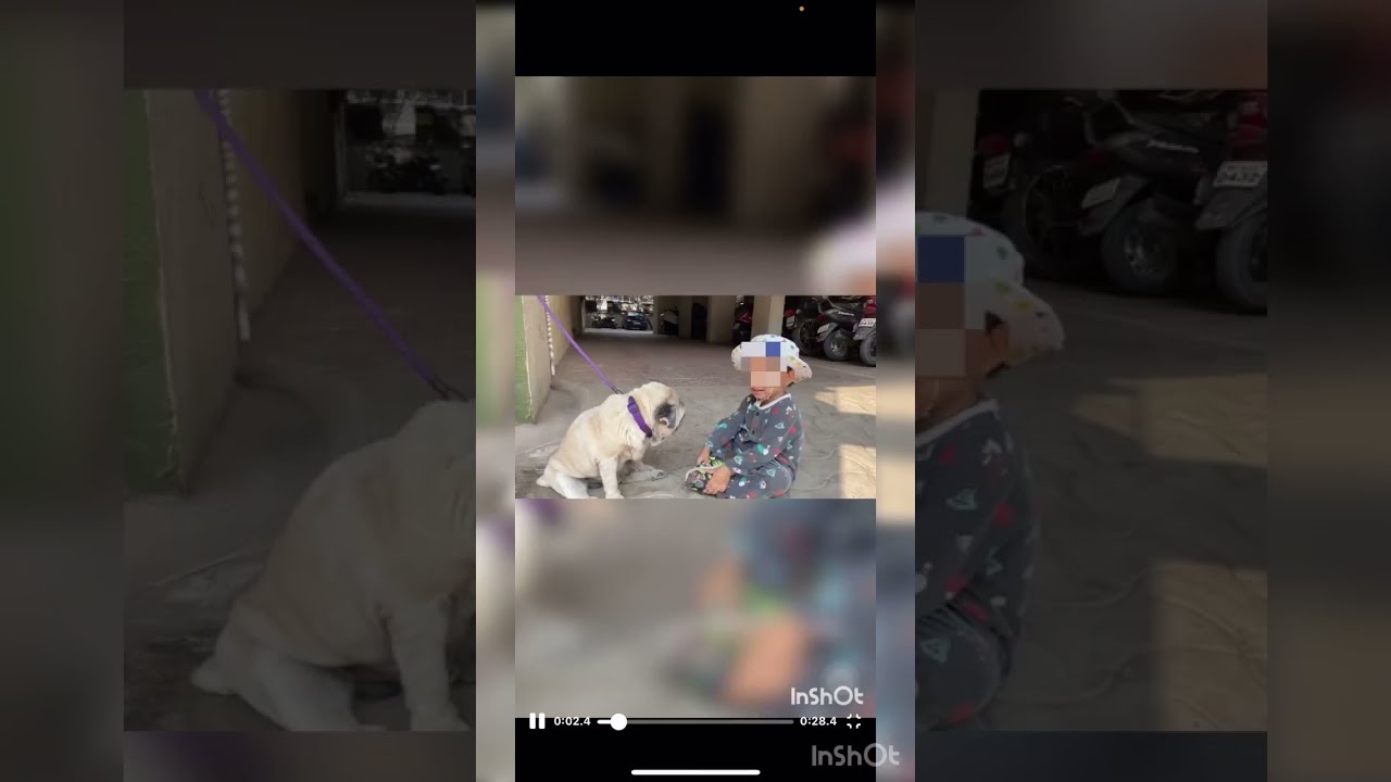 How To Blur Moving Objects In One Click Steps To Blur Objects In How To Blur Moving Objects In One Click Steps To Blur Objects In