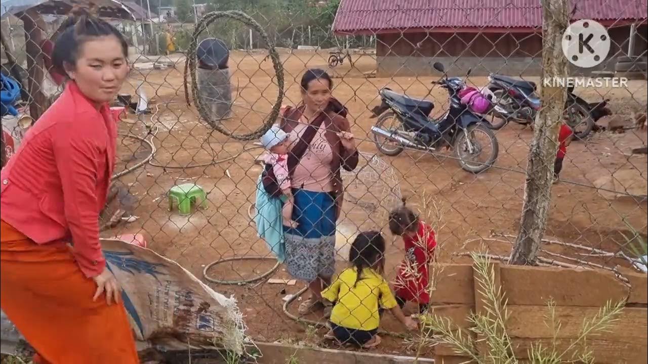 tu vaj yuav cog pob kws - YouTube