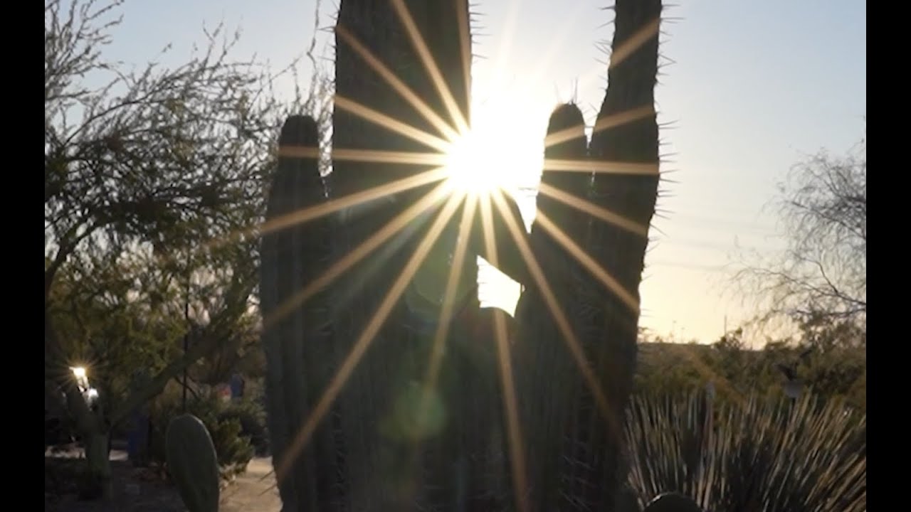 Microsoft in Phoenix, AZ - YouTube