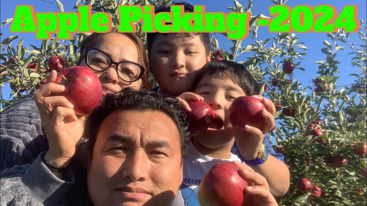 Apple Picking with family-October 12,2024 - YouTube
