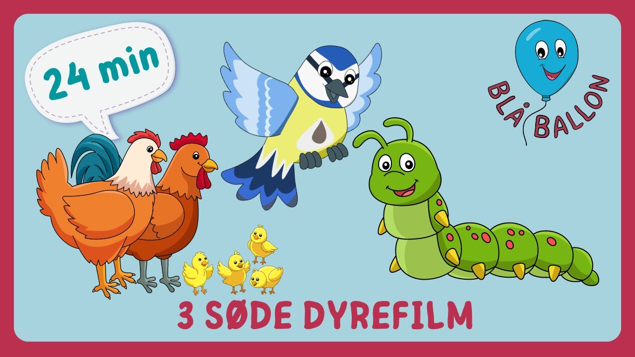 24 MINUTTER: Larve. Høns. Blåmejse. 3 søde dyrefilm med masser af sjov ...