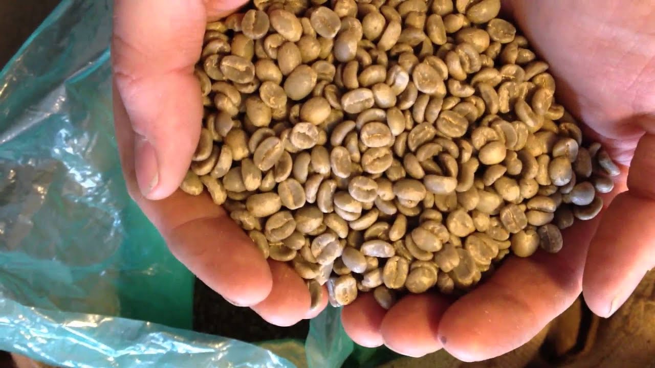What Makes Bulletproof Coffee Beans Better (Explained) - YouTube