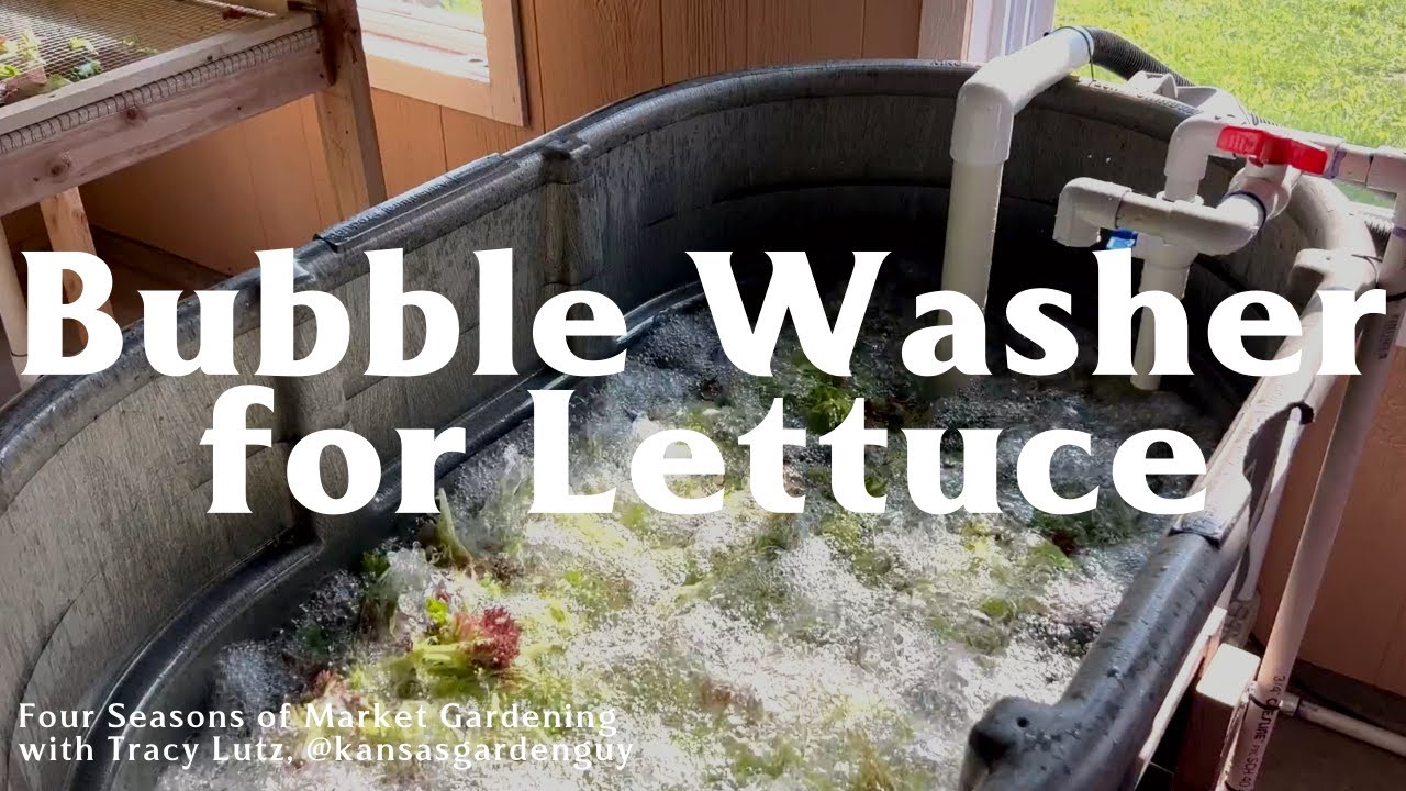 Lettuce Bubble Washer | Four Seasons of Market Gardening Ep.25 - YouTube