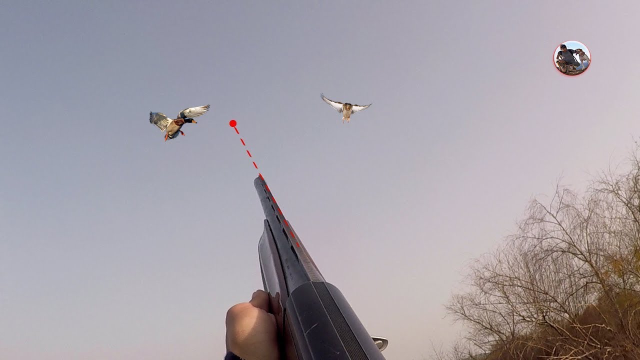 Chasse aux Canard avec Explication 2019 - Gopro 5 ,Partie 1 - YouTube