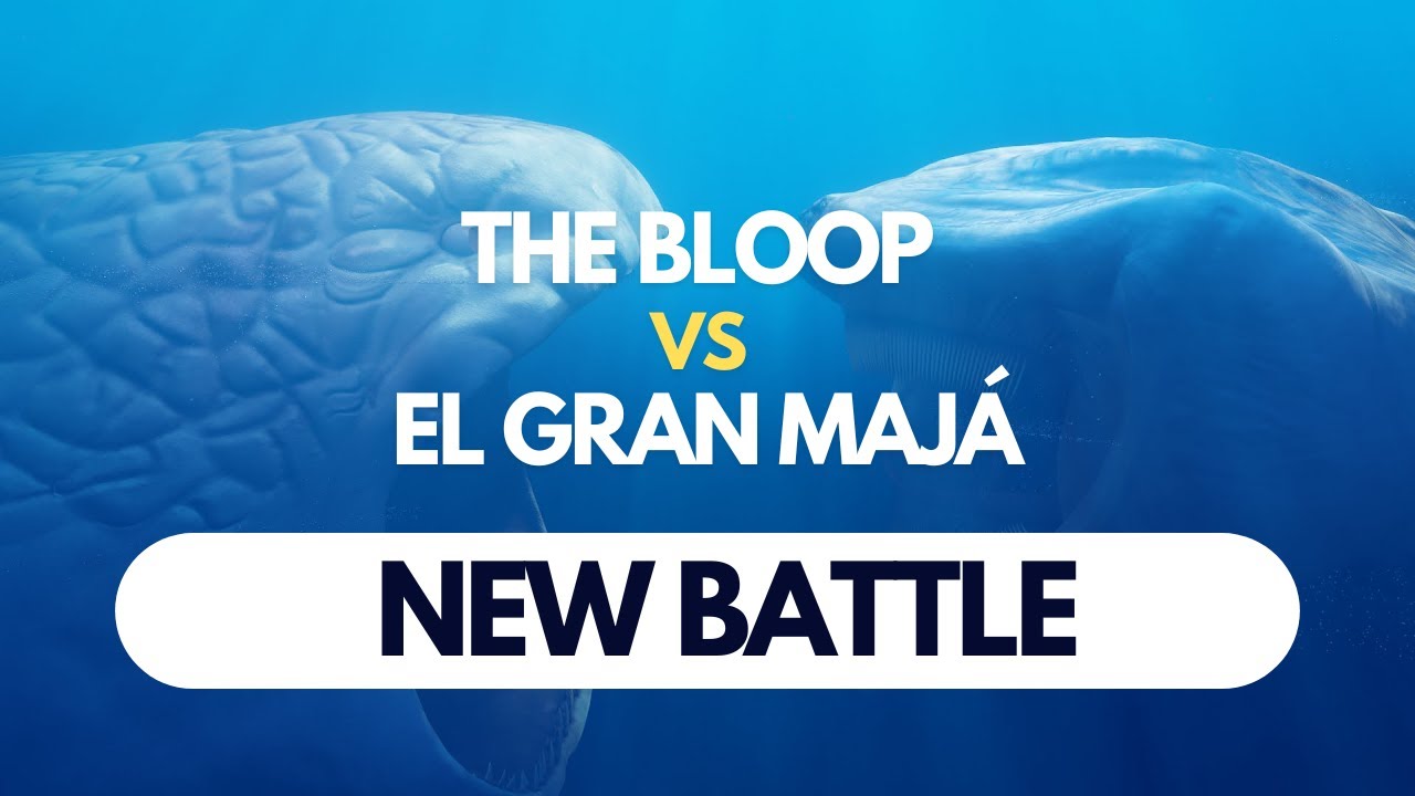 The Bloop Vs El Gran Majá 2024: Epic Showdown - YouTube