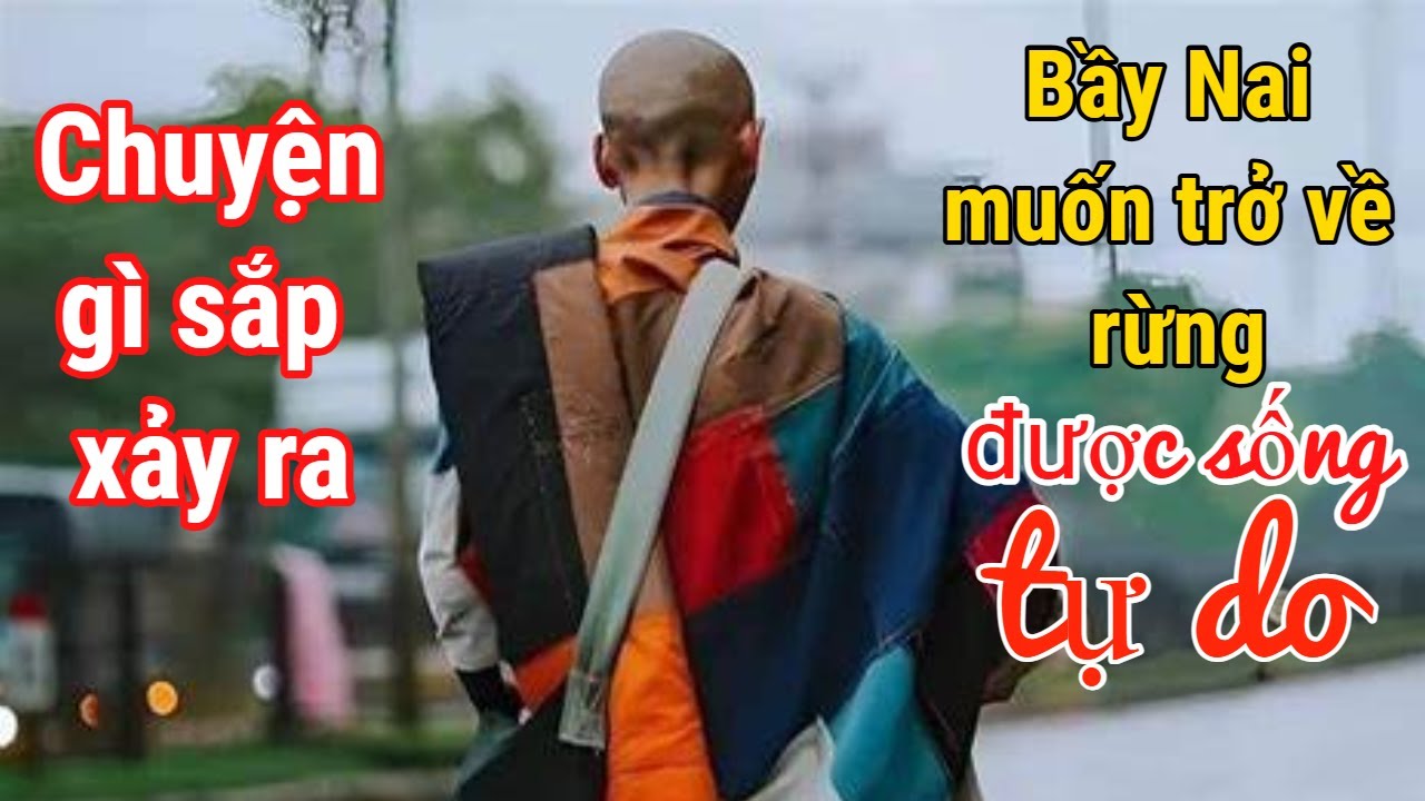 Sư Minh Tuệ chuyện gì sẽ xảy ra,Trang FB đài RFA,VOA, BBC bị đổi tên kg ...