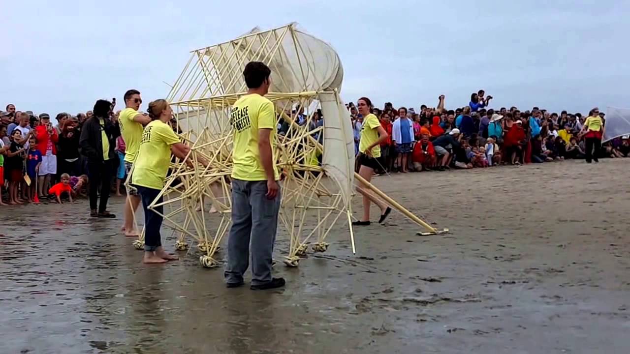 Amazing Strandbeest by Dutch Artist Theo Jansen - YouTube