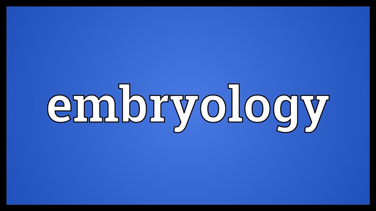 Embryology Meaning YouTube