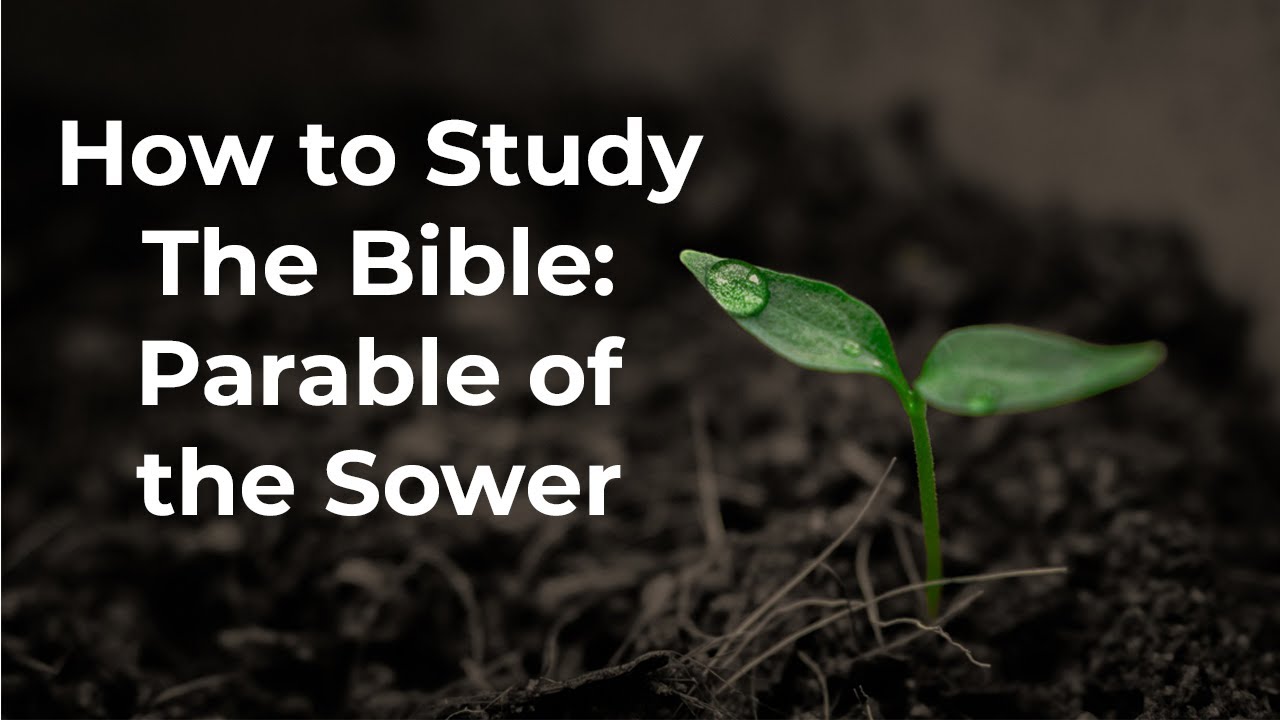 How to Study the Bible Example - Parable of the Sower - YouTube