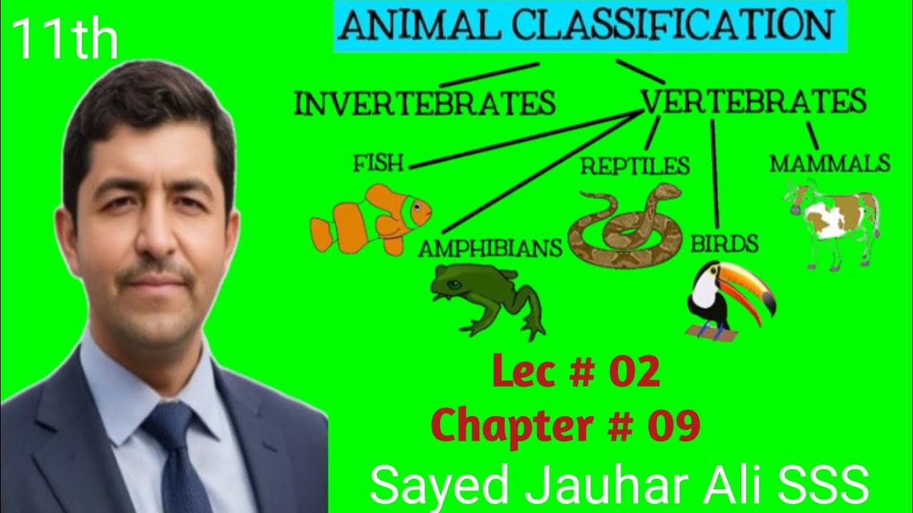 Classificationof Animals Chart Lec # 2 ,a Ch# 09 Diversity among Animal ...