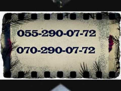 Roya Ayxan Yep Yeni Elshadim