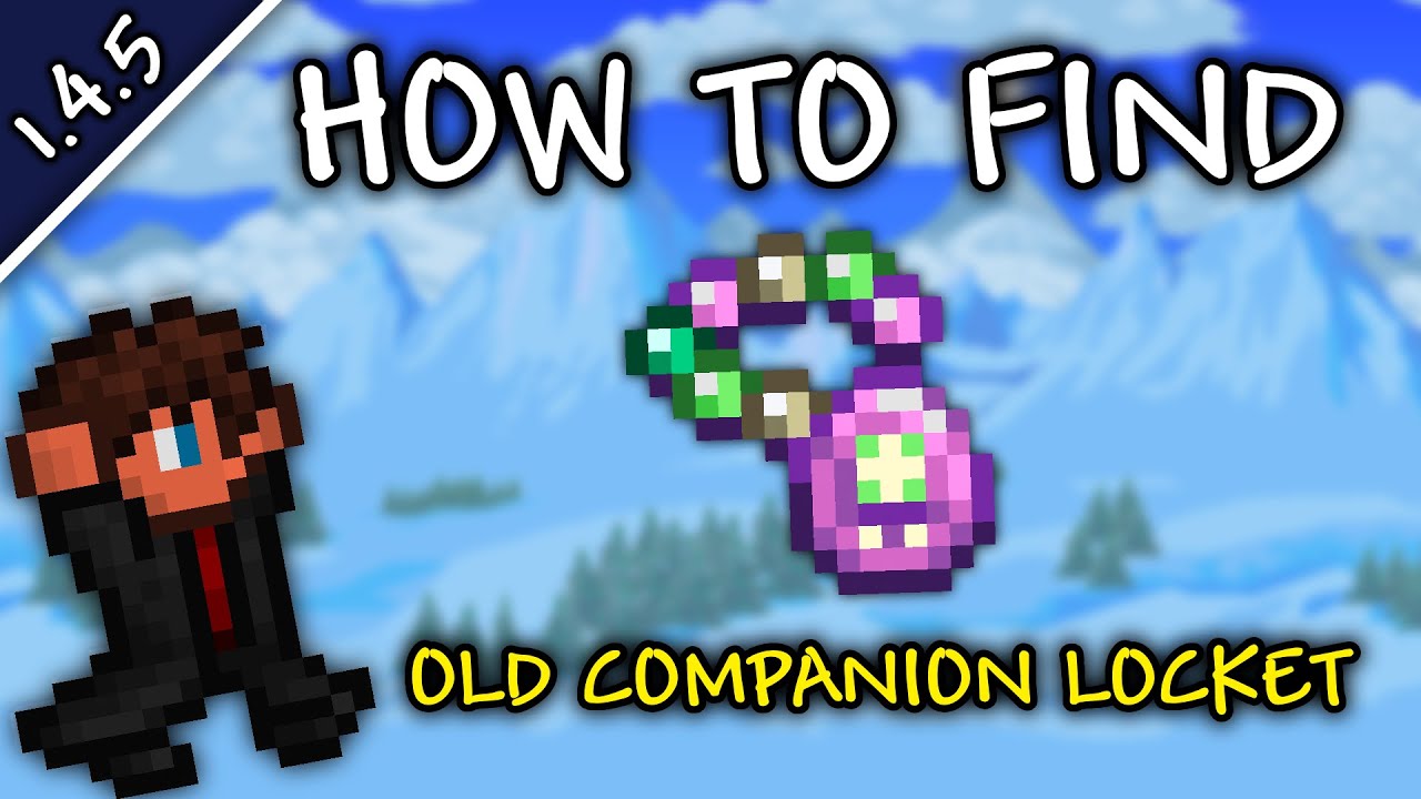 How To QUICKLY Find Old Companion Locket In Terraria 1.4.5.5 ...