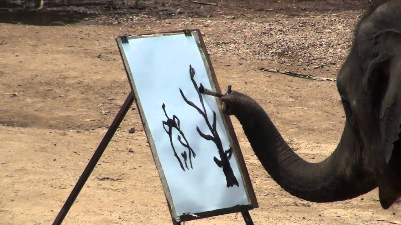 Elefant som målar - YouTube