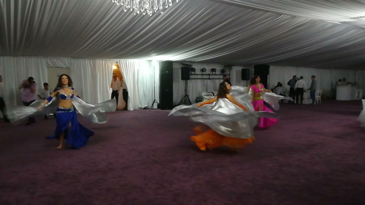 Dansatoare bellydance oriental - show dans oriental - dansatoare dans ...