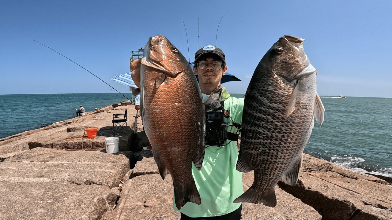 Texas BEST EATING inshore FISH!! - YouTube
