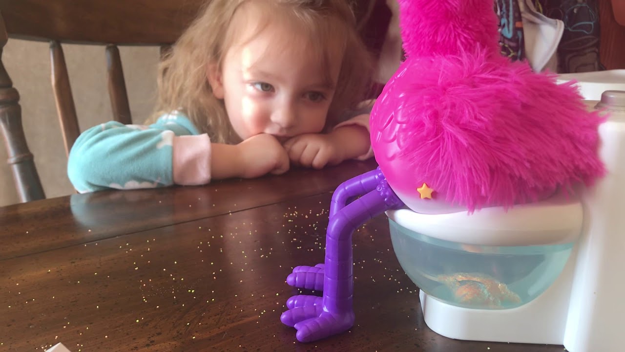 Review of Gotta Go Flamingo - part one of review (second came an hour ...