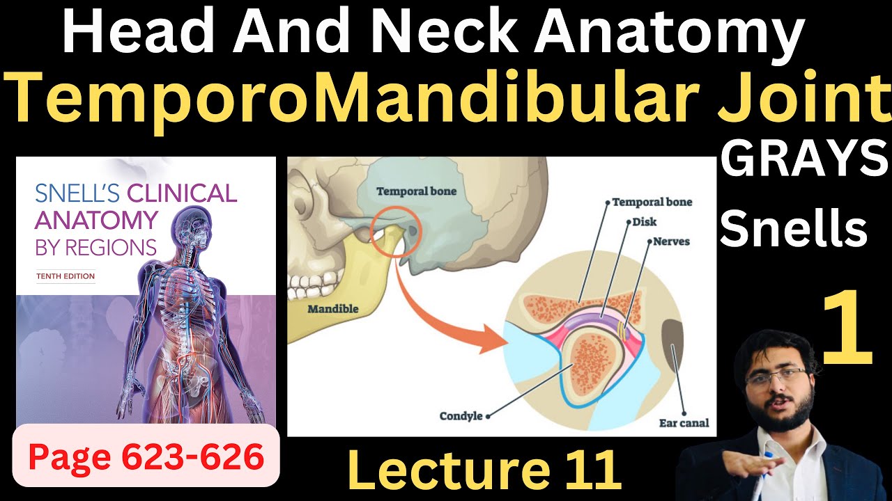 Temporomandibular joint | TMJ | Head and Neck Anatomy | # ...