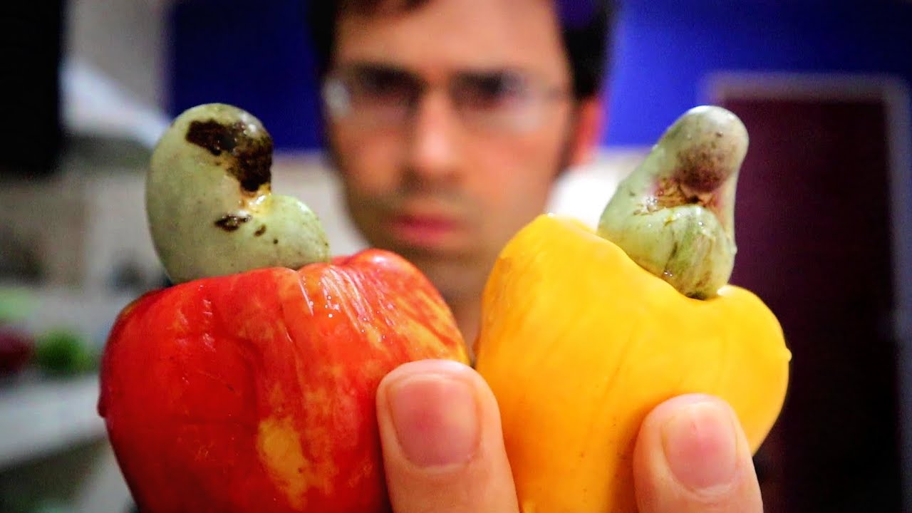 Cashew nut fruit store