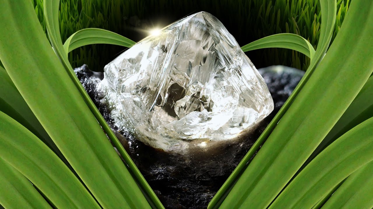 These 5 Plants Are Growing above Diamonds, Opals, and Other Precious ...