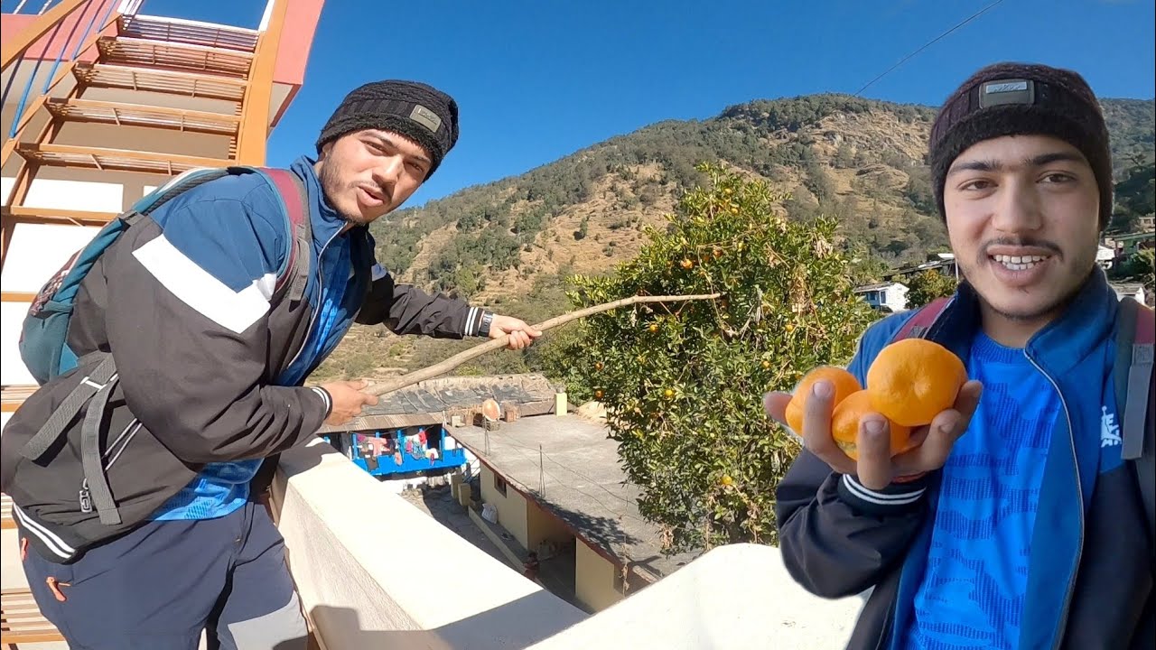 आज तो गाँव वालों की नारंगी ही चुरा ली || Pahadi Lifestyle || Namaste ...