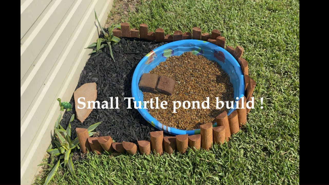 Small turtle pond build - YouTube