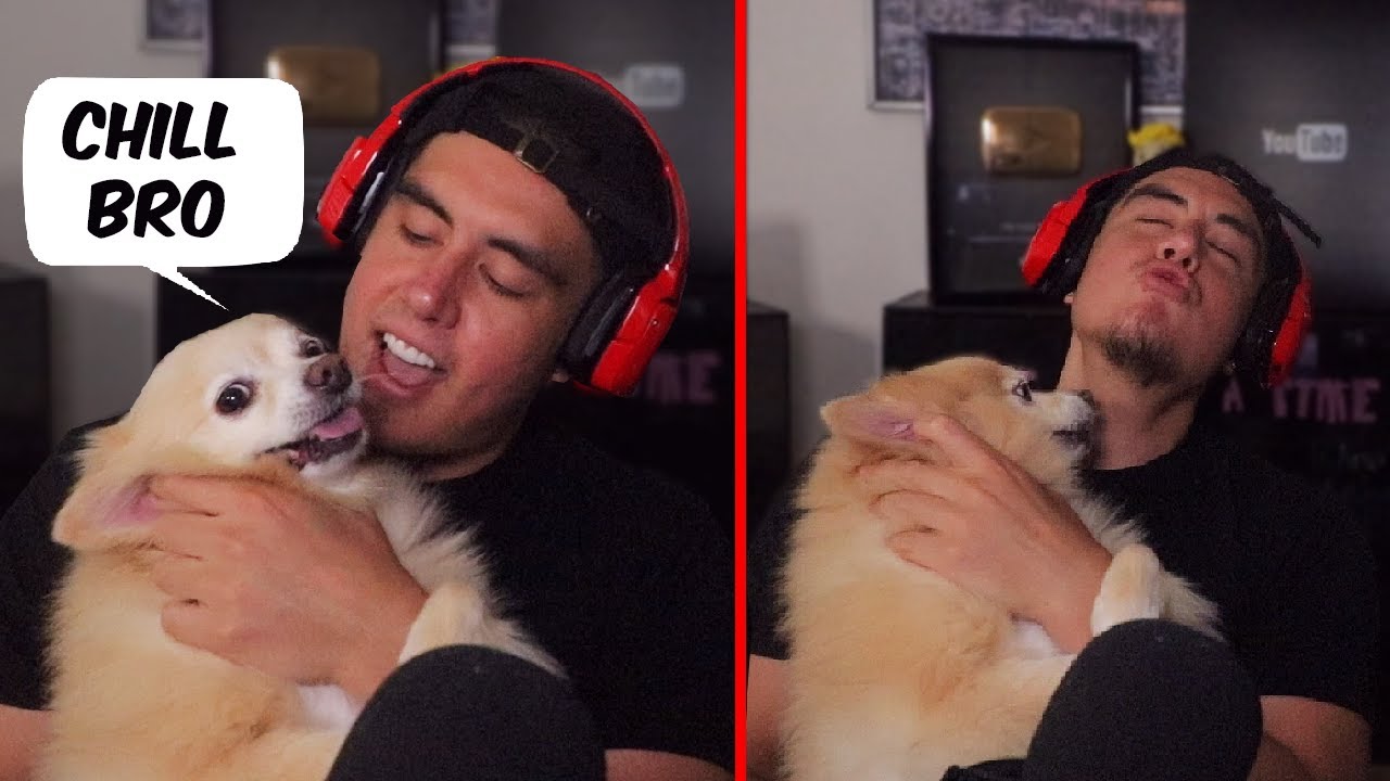 My Dog Can Sense When I'm Playing a Bad Game & Comforts Me - YouTube