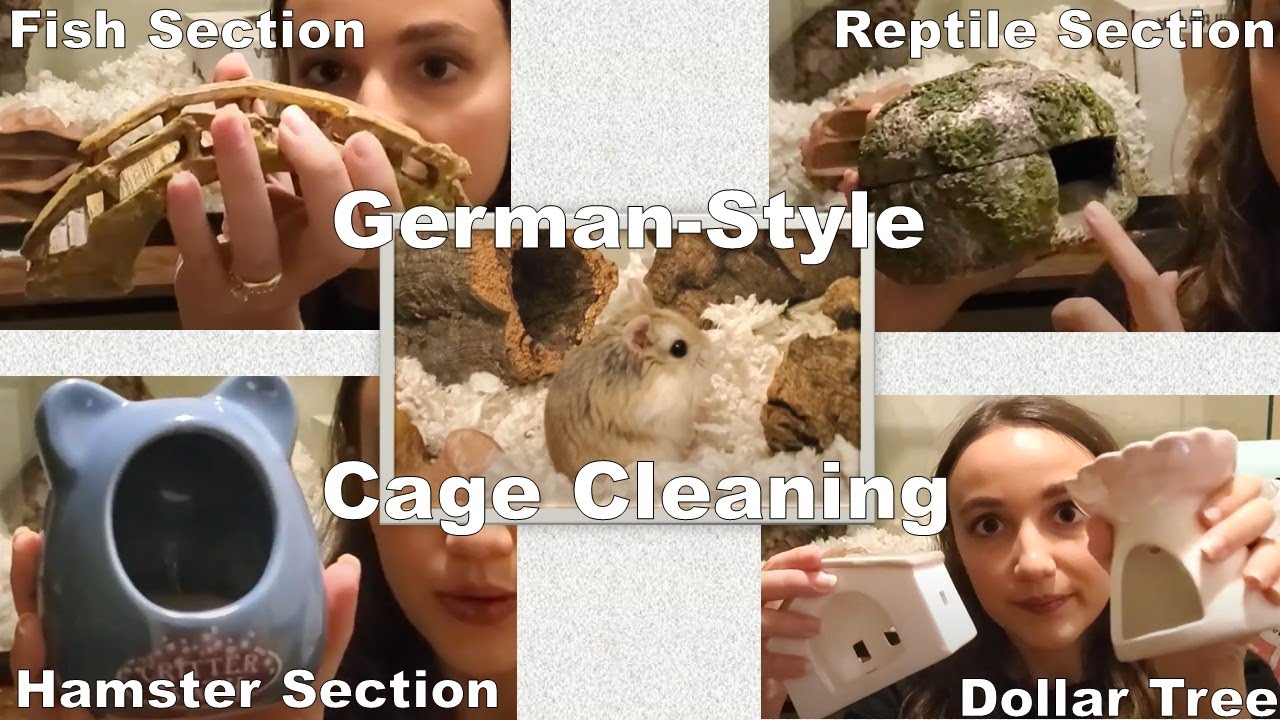 How to use the Whole Pet Store for Hamster Enrichment and German Style ...