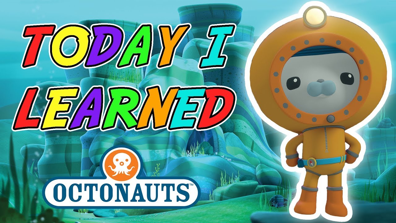 Octonauts - Today I Learned | New Underwater Creatures - YouTube