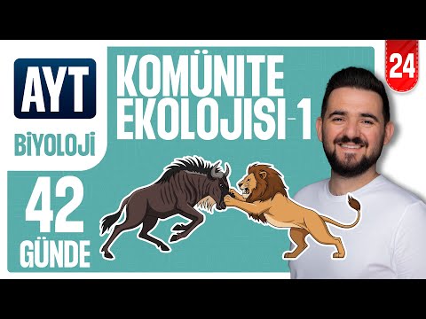 Komünite Ekolojisi-1 | 42 GÜNDE AYRINTILI AYT BİYOLOJİ KAMPI 2026-2027 | 24.GÜN