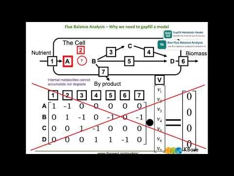 Building and Using Metabolic Models in KBase | 2021 EMSL Summer School - YouTube