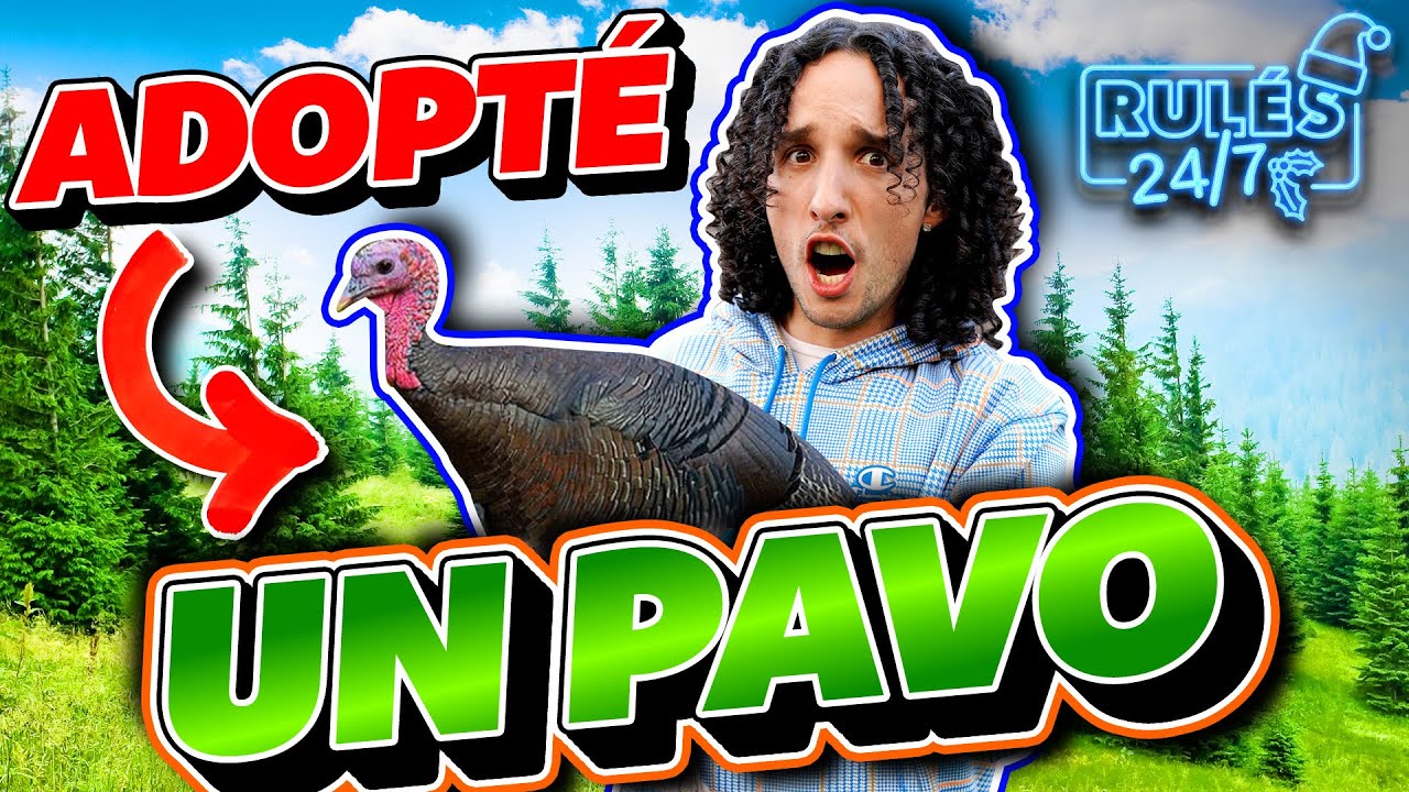 RESCATÉ UN PAVO Y AHORA ES MI MASCOTA, LO SALVE DE SER LA CENA DE ...