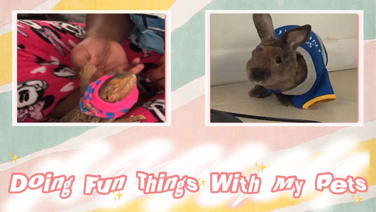 Doing fun things with my pets - YouTube