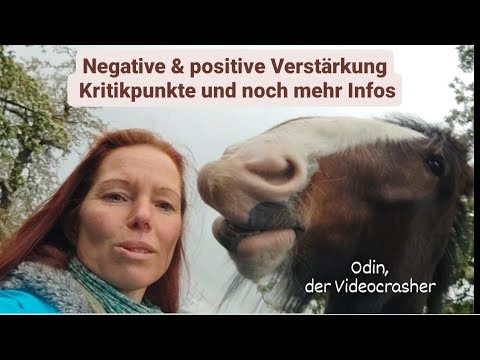 Konditionierung durch positive und negative Verstärkung: Primäre und ...
