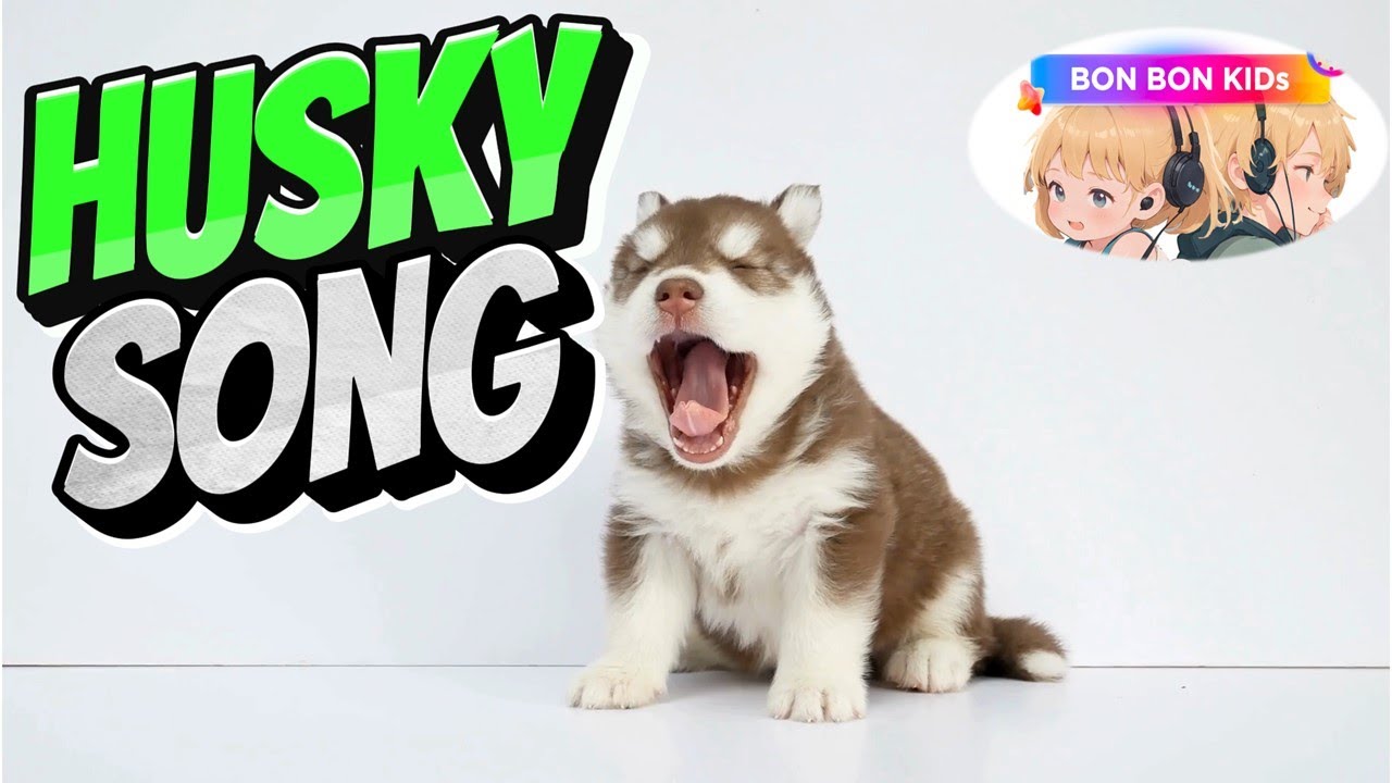 Cute Husky Song #huskies #dog #dogshorts #kidsvideo #childrenssongs # ...