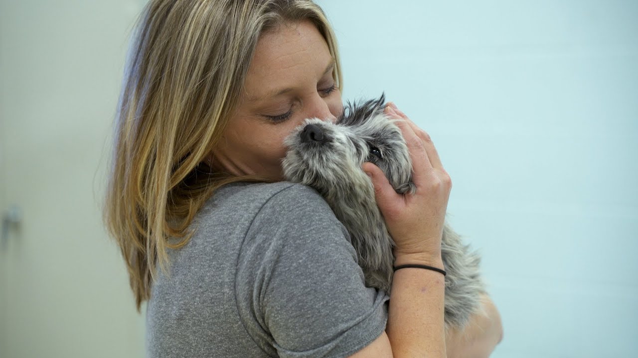 San Angelo Animal Shelter: A Pawsitive Future Ahead - YouTube