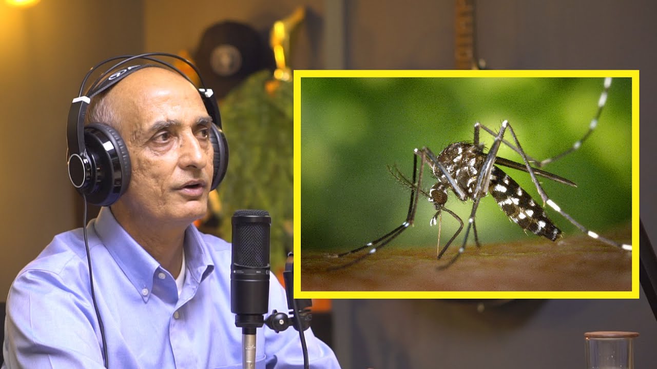 Dengue , its Types and Mortality Rate | Dr. Basu Dev Pandey | Sushant ...