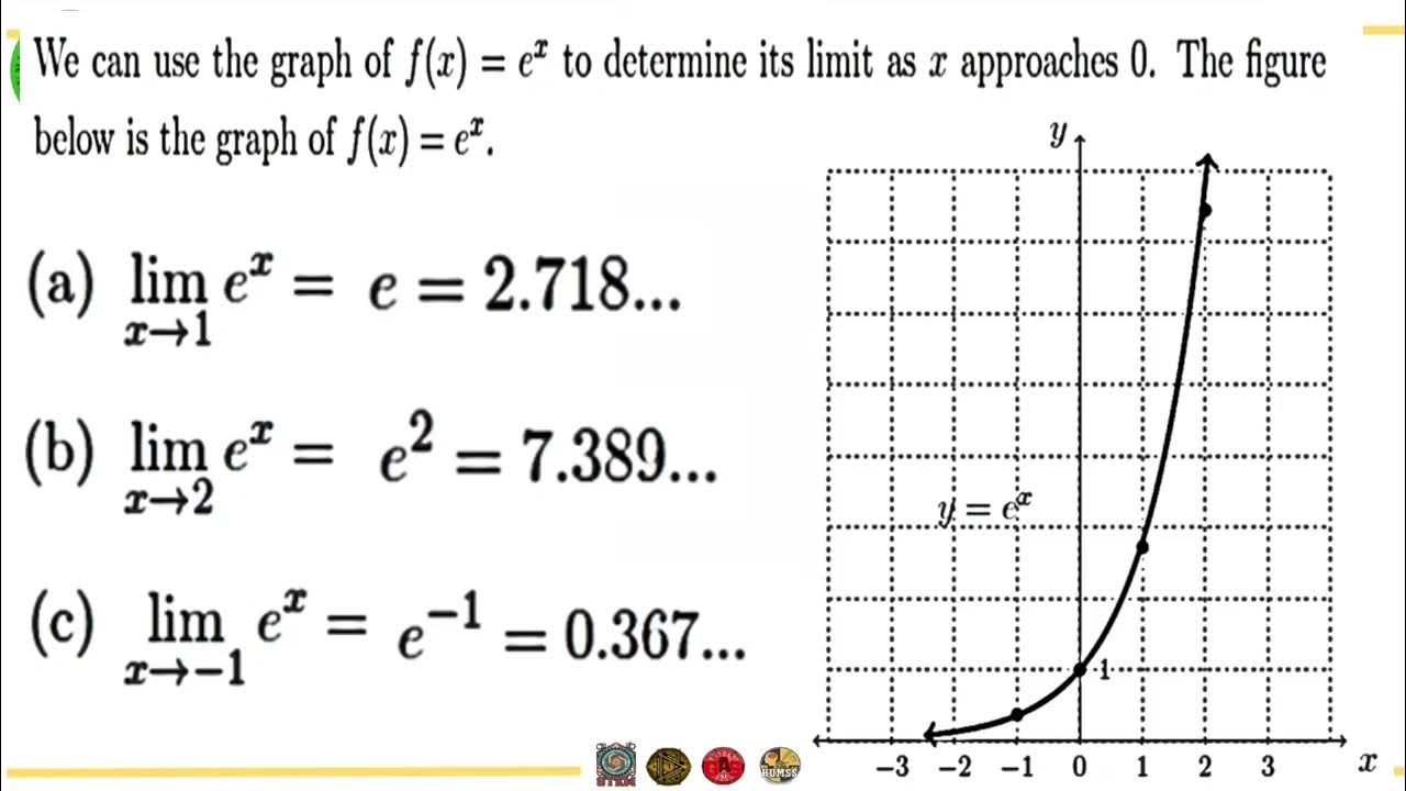 Limits of Exponential Functions - YouTube