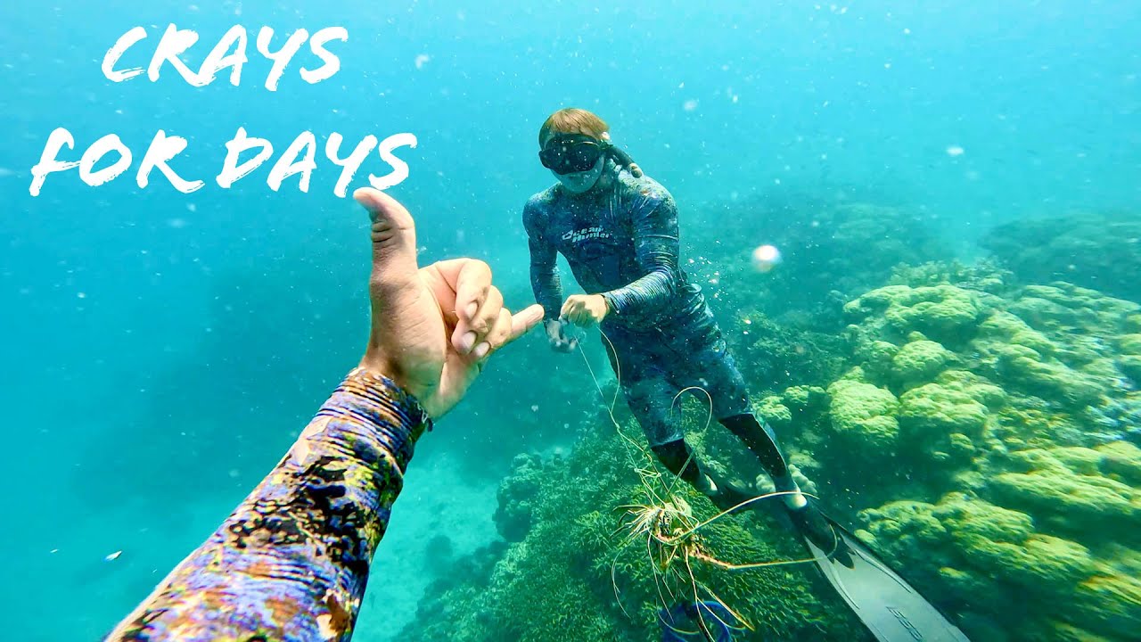 SPEARFISHING LAGOONS of THE GREAT BARRIER REEF - YouTube