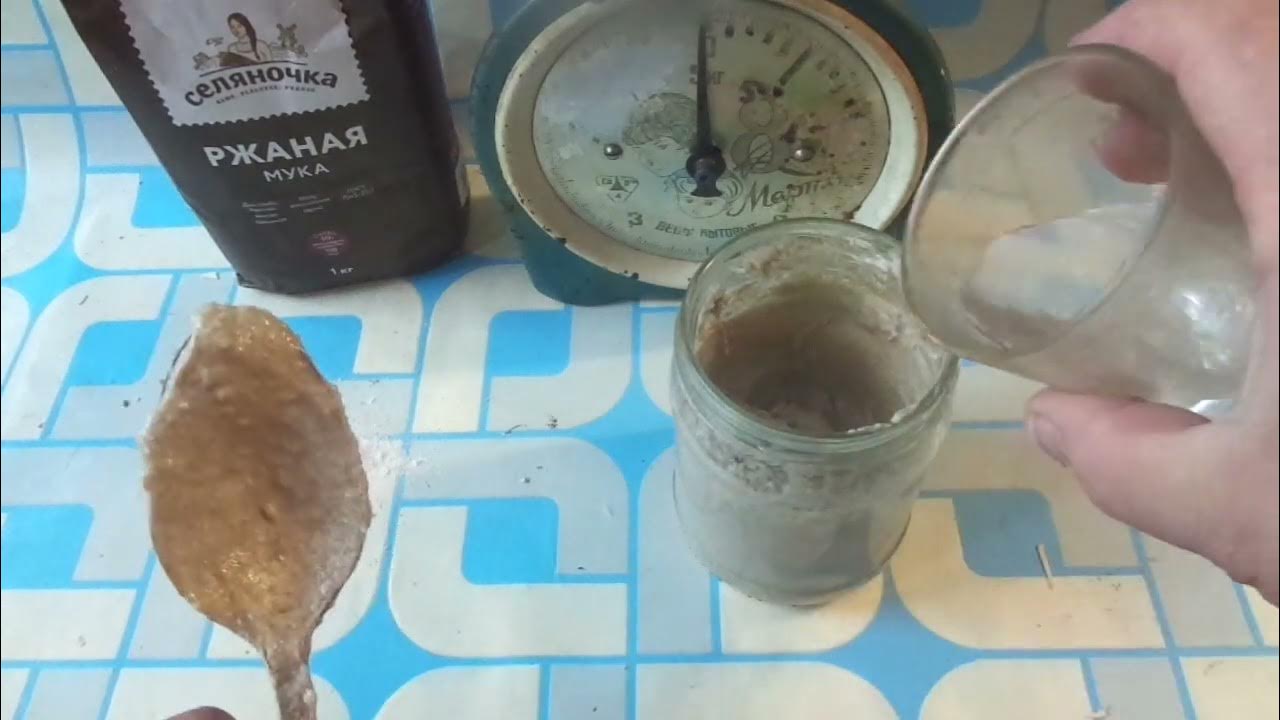 Как делать живые дрожжи из Ржаной муки и воды за 5 дней для выпечки ...