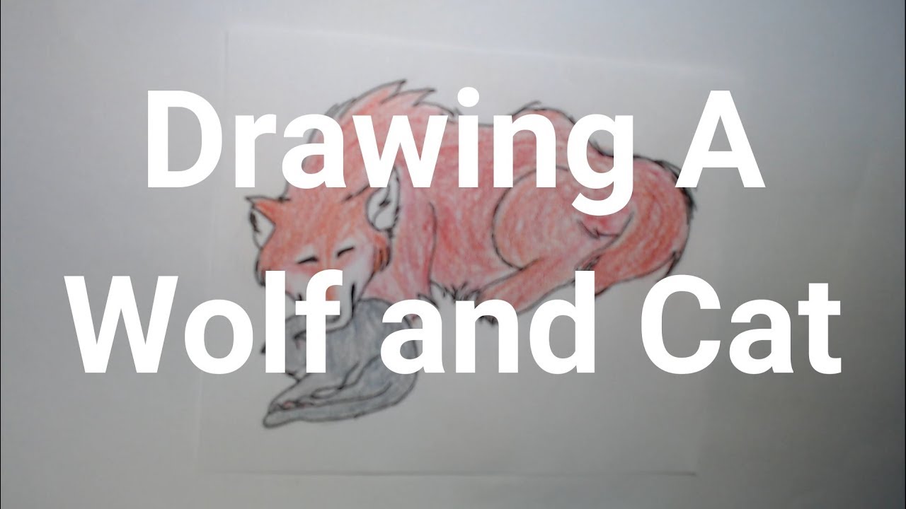 Drawing Wolf and Cat Snuggling - YouTube