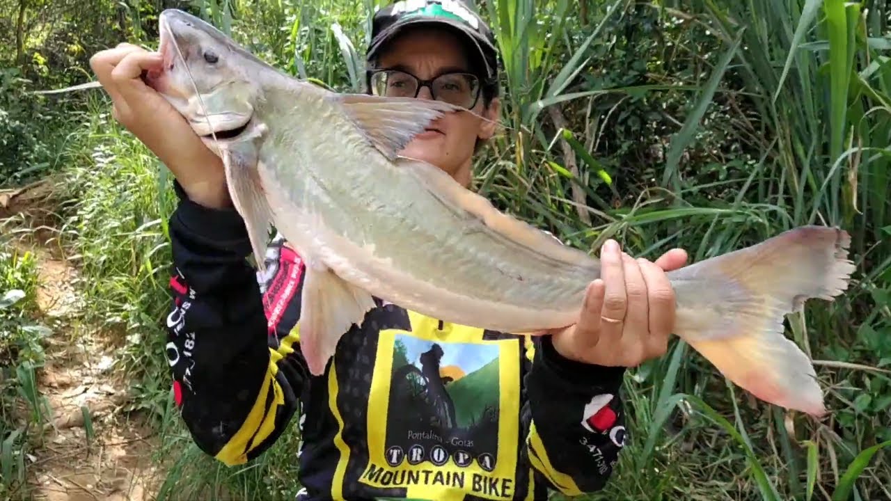 Pescaria com TRES iscas infalíveis na pescaria de mandi e BARBADO E ...