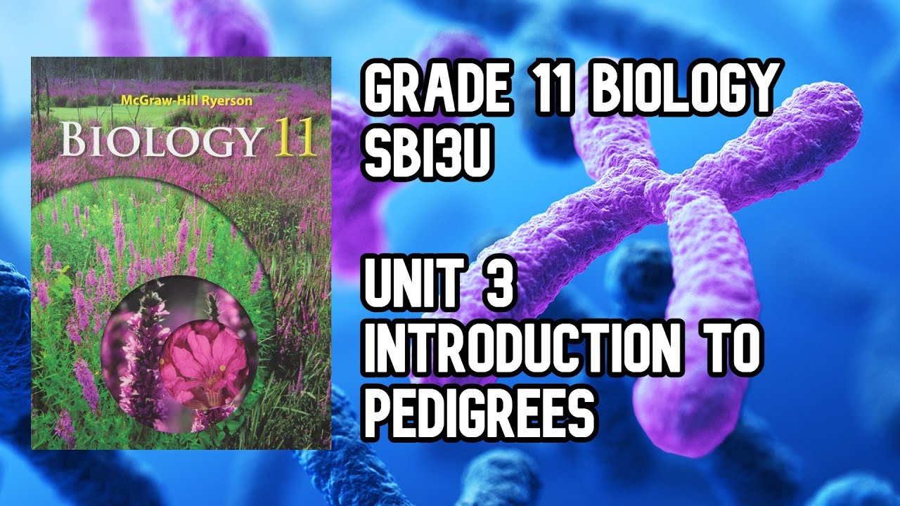 SBI3U - Unit 3 Genetics Class 8 Introduction to Pedigrees (Grade 11 ...