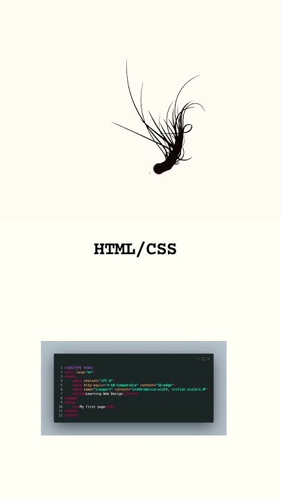 Html Csshtml5coding Software Pythonfold Unfold Animation Loding Effect Animationweb
